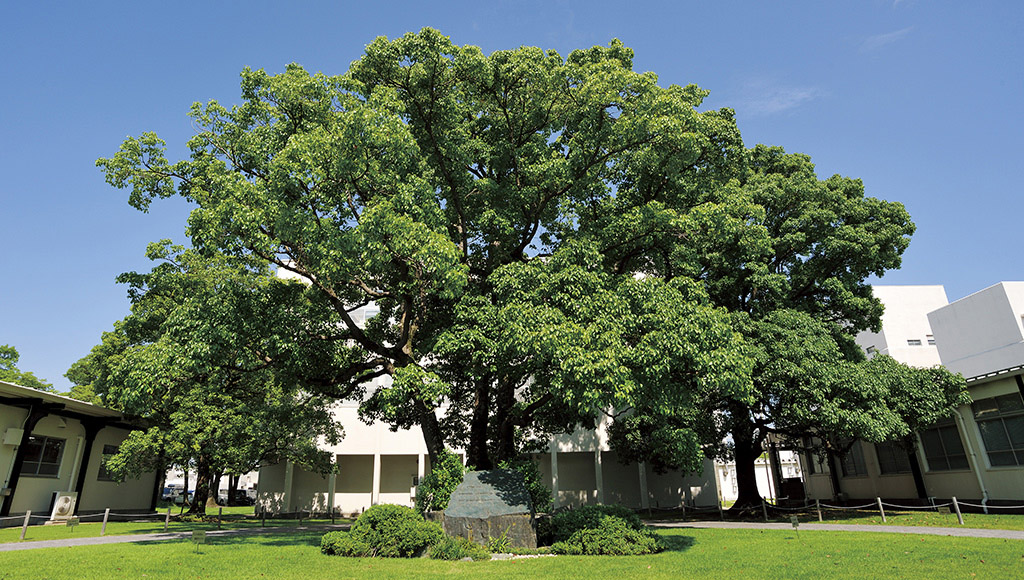 OTSUKA PHARMACEUTICAL CO. LTD RESMI DIDIRIKAN